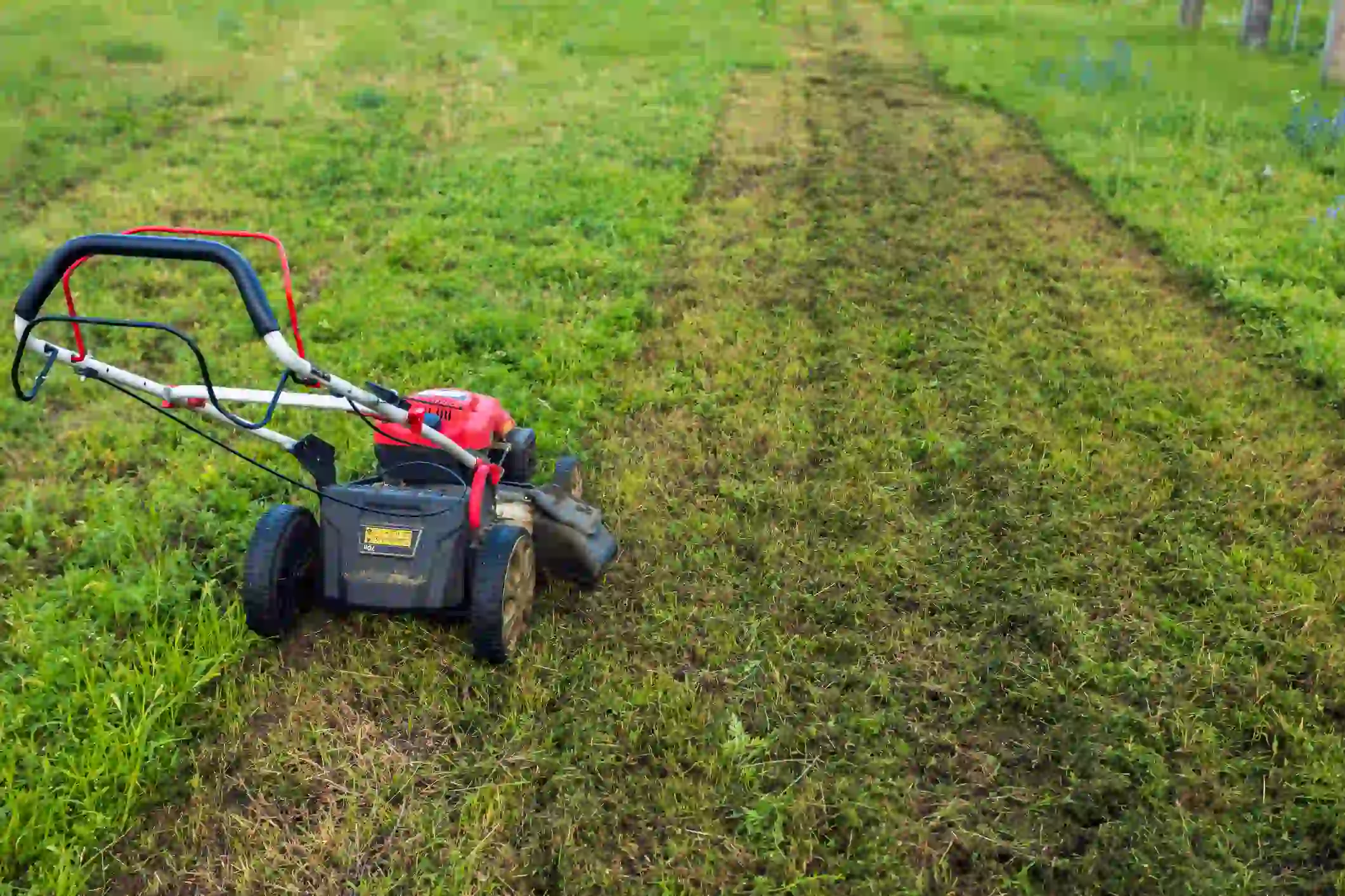 How Lawn Mowing Impacts Commercial Weed Control - LT Lawn Maintenance